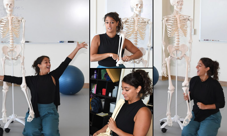 Black Friday: DEL Functional Anatomy / Course created by Allegra Romita ...